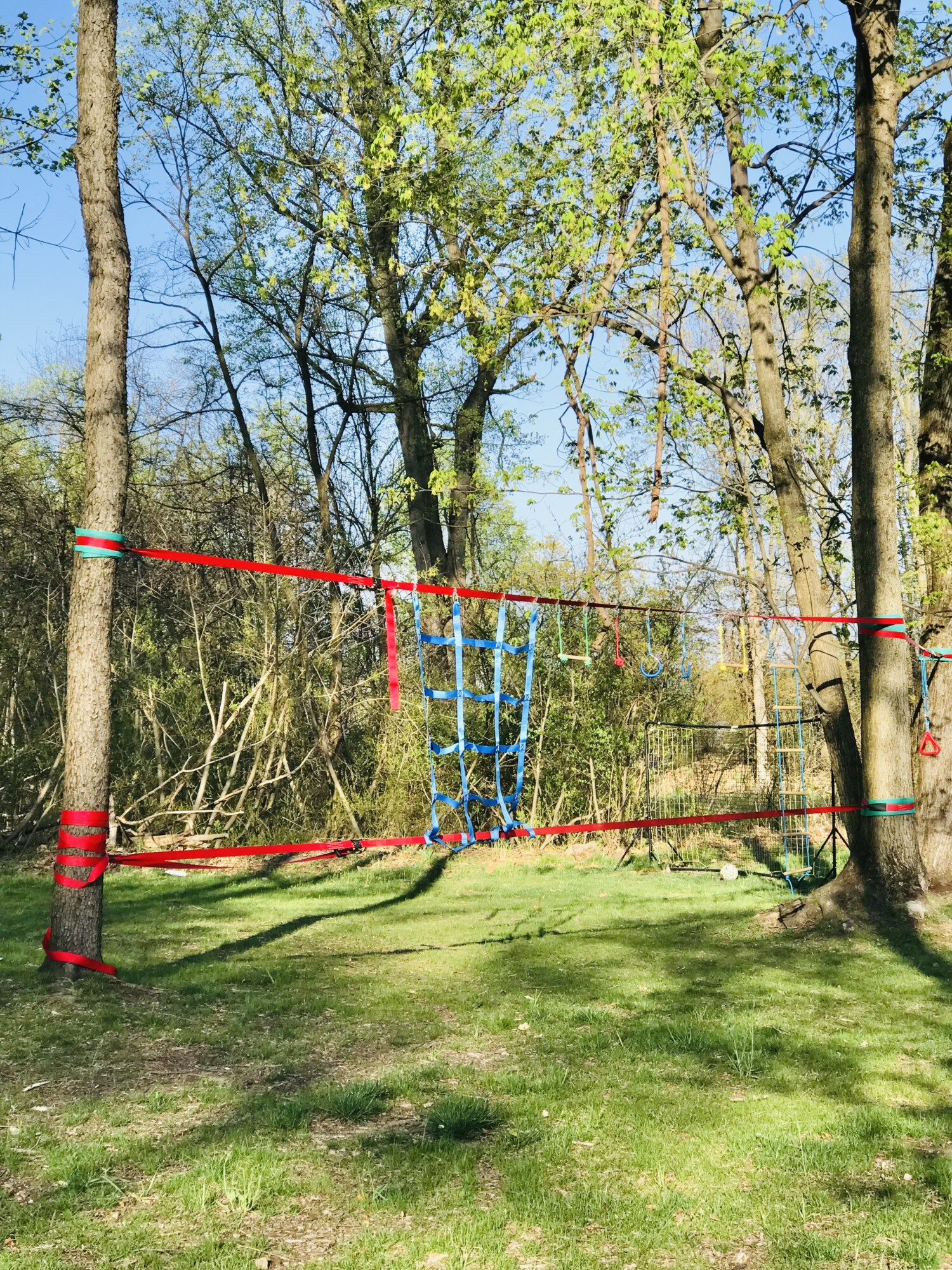 Meeting Your Backyard Goals Step by Step - Getting Creative with Carolyn