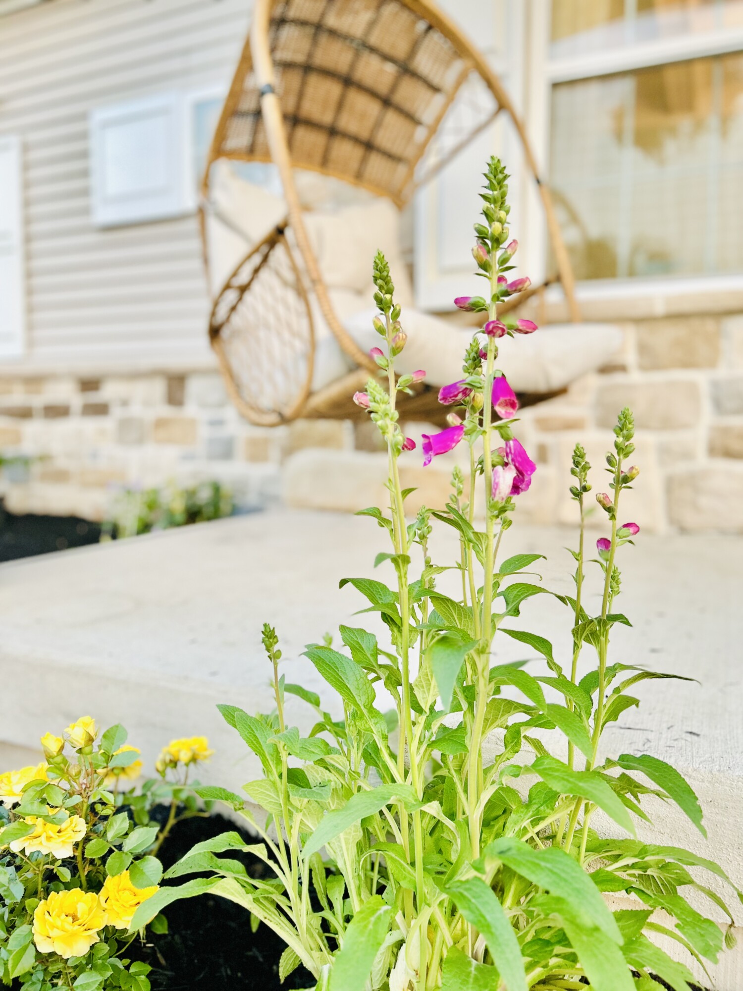 Finding Home - Getting Creative with Carolyn